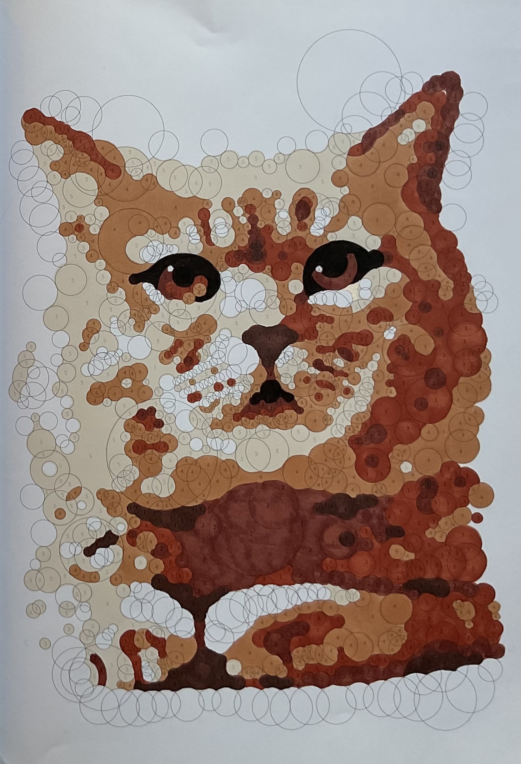 kleuren op nummer het meest relaxte hobby - hobby-handig