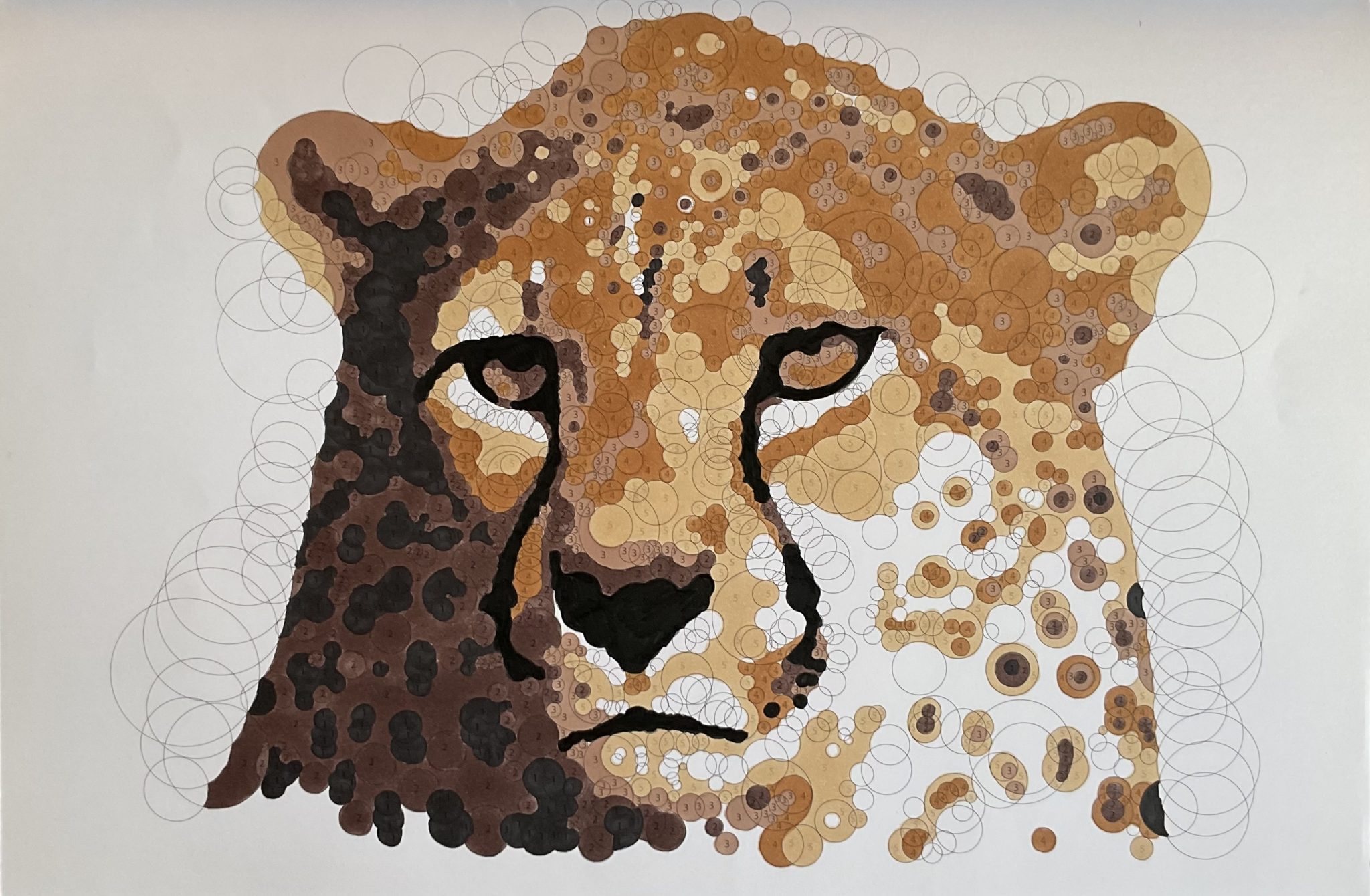 kleuren op nummer het meest relaxte hobby - hobby-handig