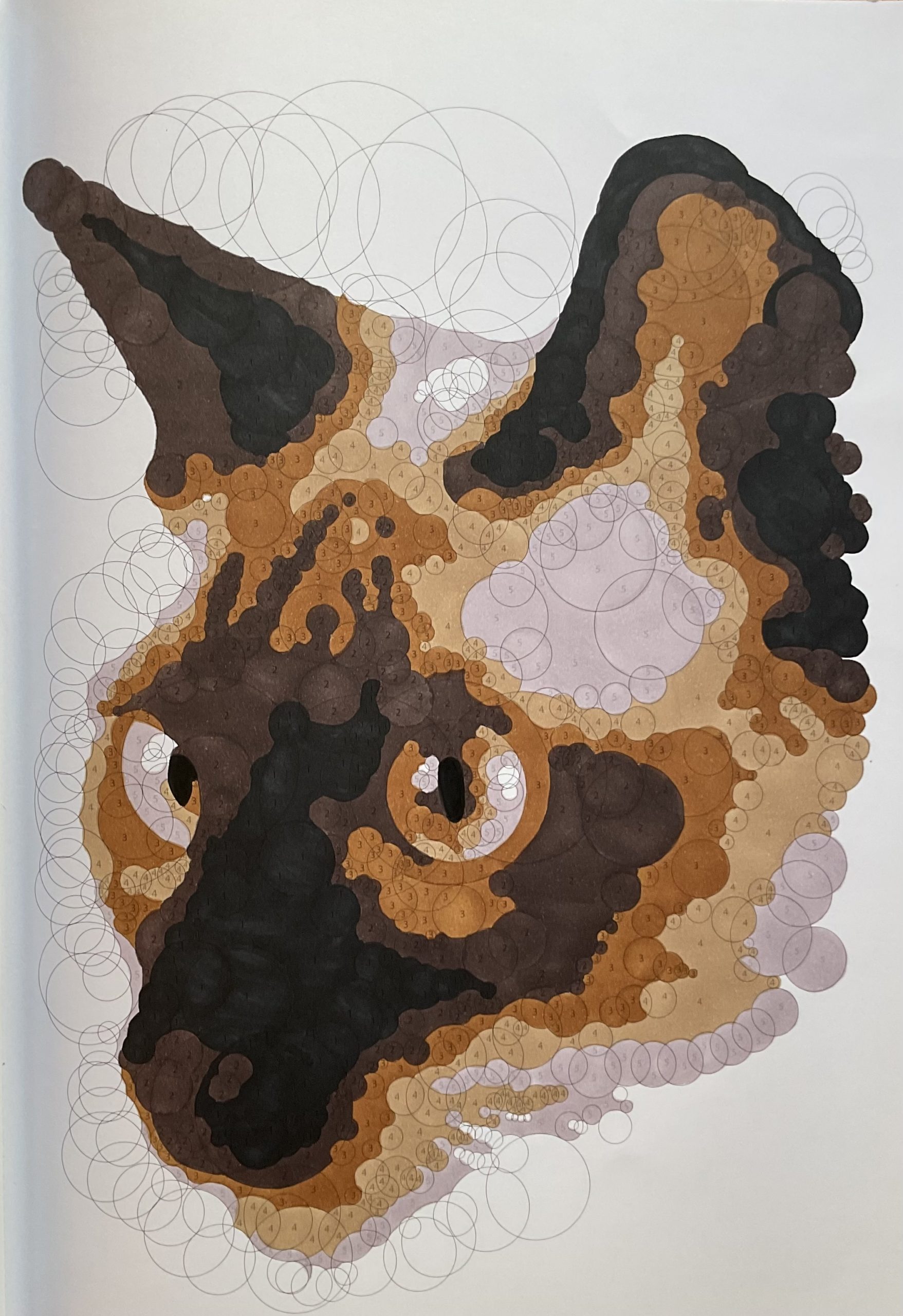 kleuren op nummer het meest relaxte hobby - hobby-handig