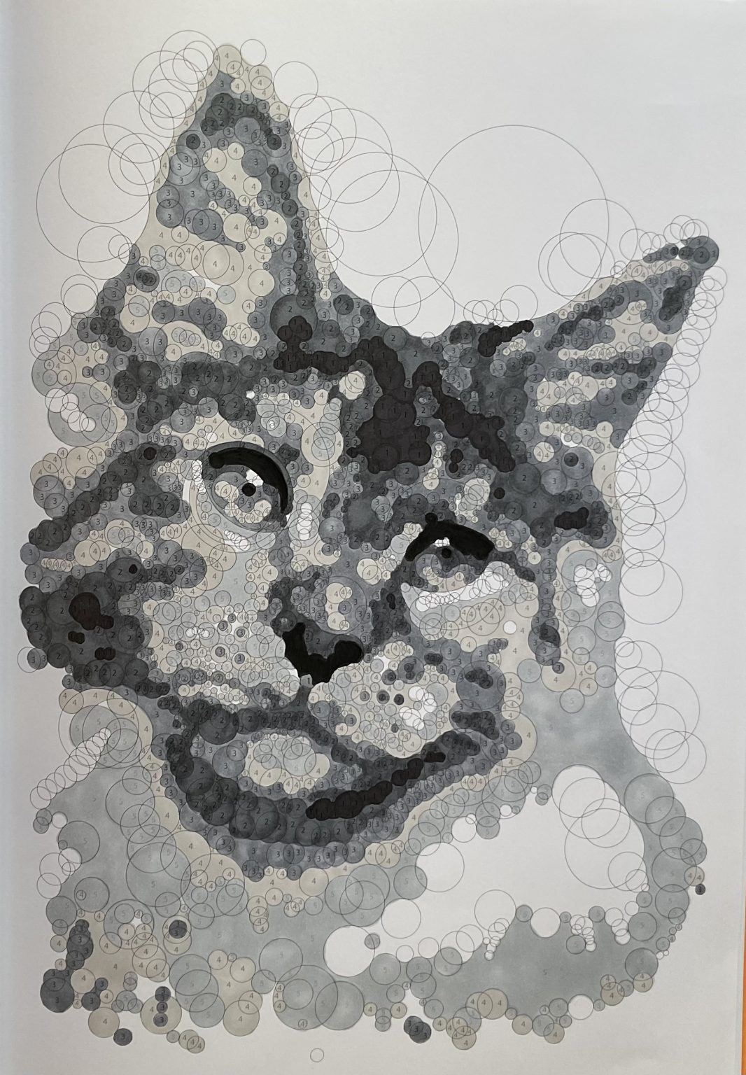 kleuren op nummer het meest relaxte hobby - hobby-handig